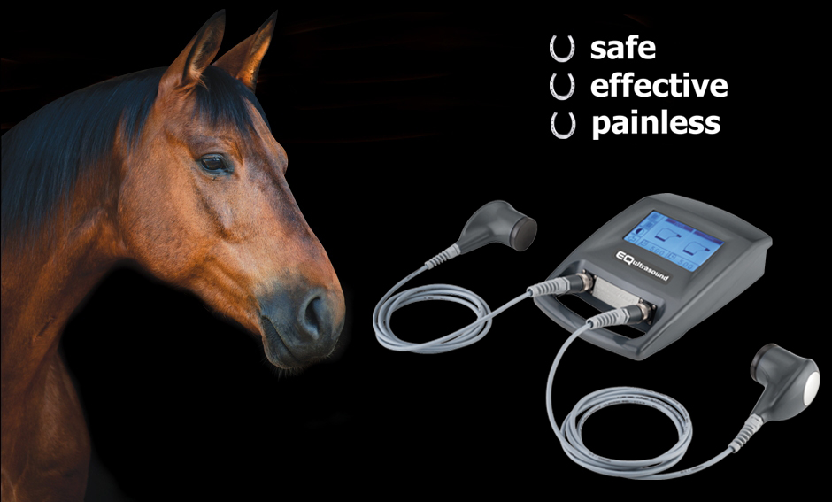 Equine Ultrasound Therapy – EQultrasound