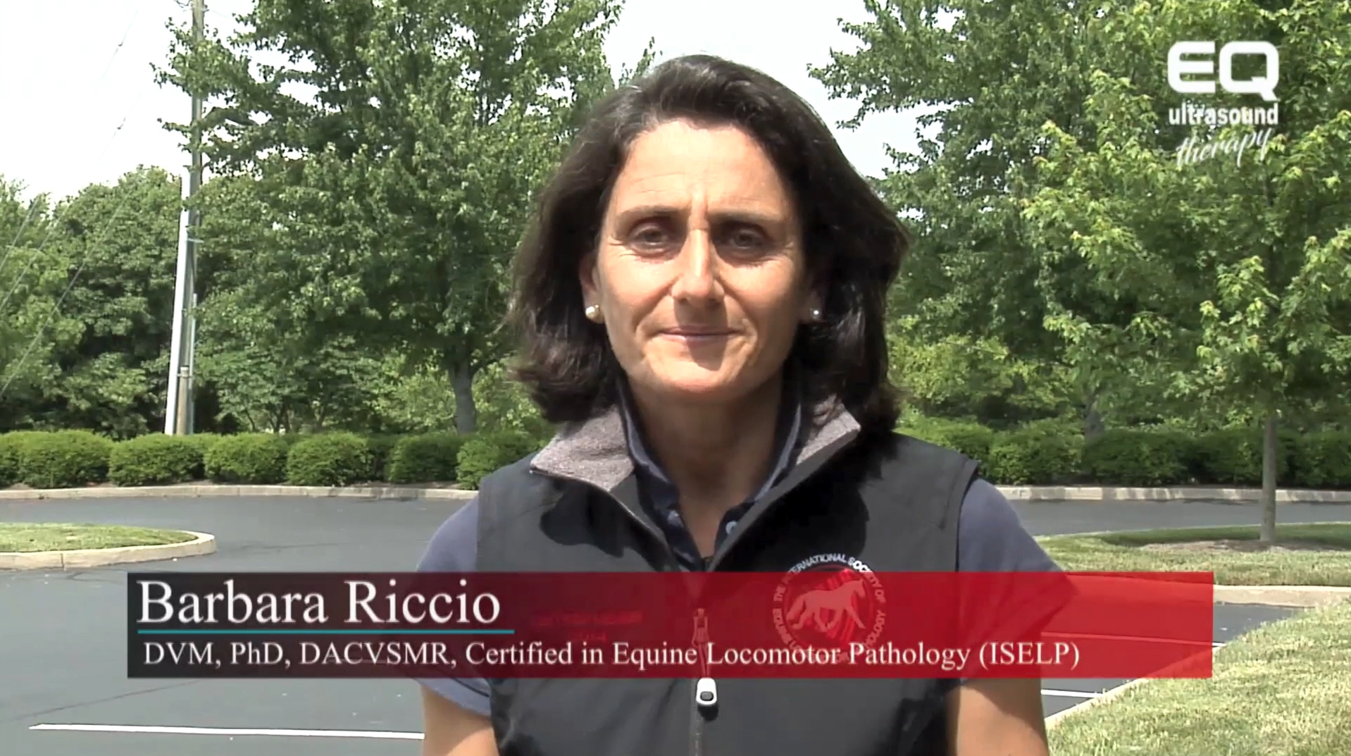 Equine Ultrasound Therapy – EQultrasound Pro Therapy » Barbara Riccio ...